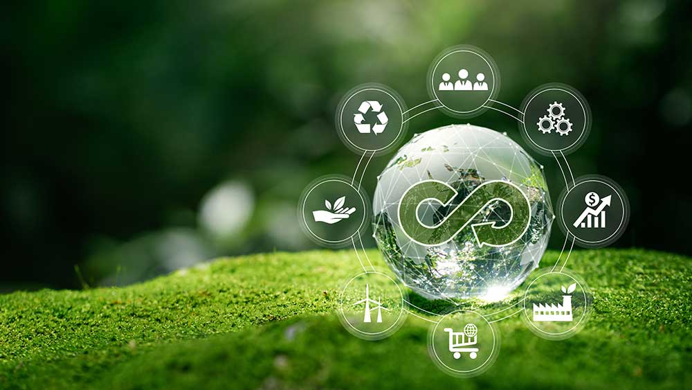 The top 10 paper packaging companies in the industry today