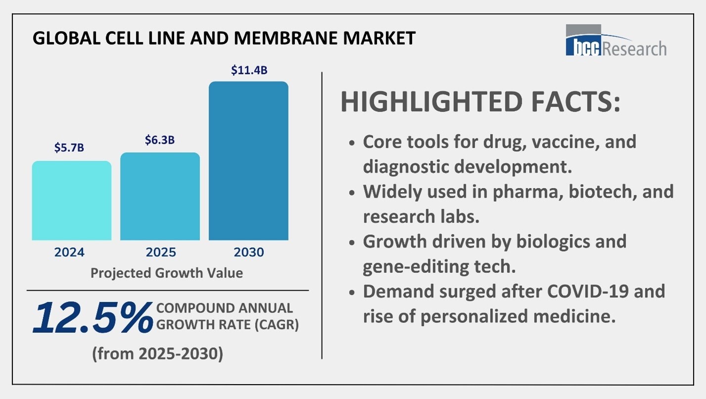 How Cell Lines and Membranes Are Shaping the Future of Medicine